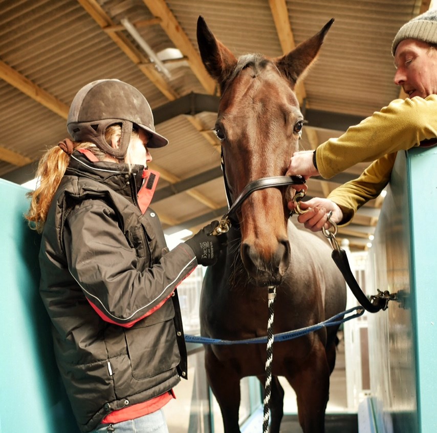 About Bowland Equine Therapy about-bowland-equine-therapy